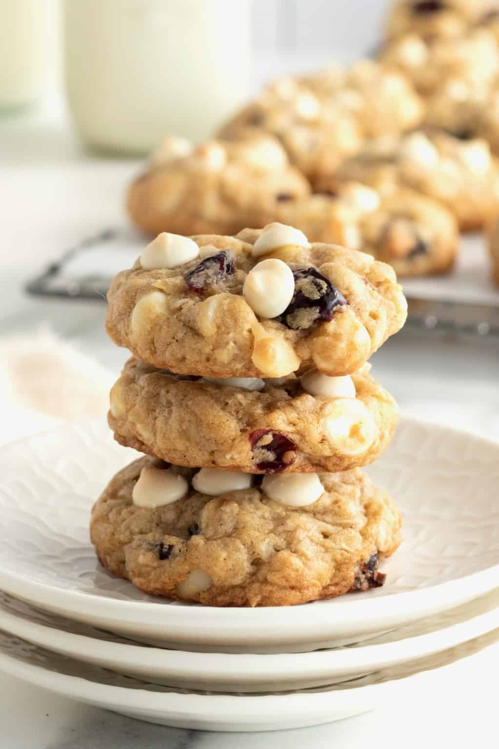 Oatmeal Cranberry White Chocolate Chip Macadamia Nut Cookies - The ...