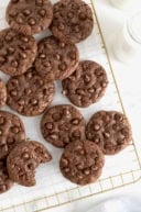 Chocolate Chocolate Chip Cookies - The BakerMama