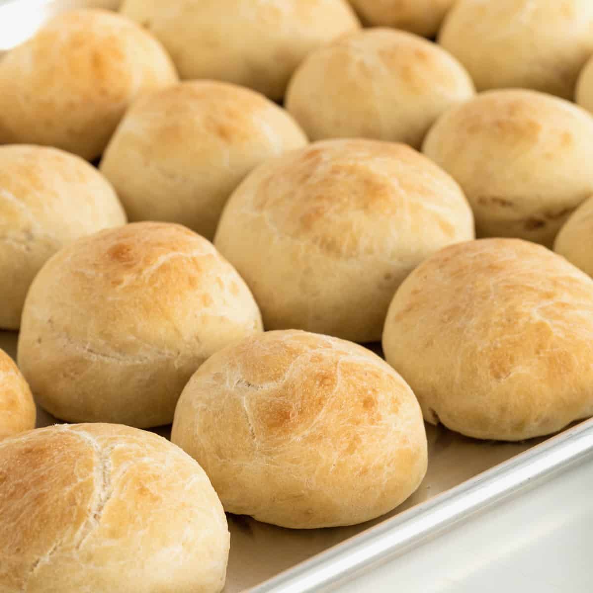 Classic Dinner Rolls - The BakerMama