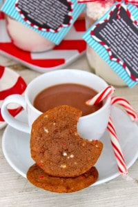 Peppermint Hot Cocoa Cookies in a Jar - The BakerMama