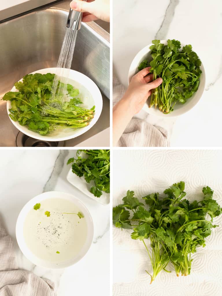 How to Wash Cilantro - The BakerMama