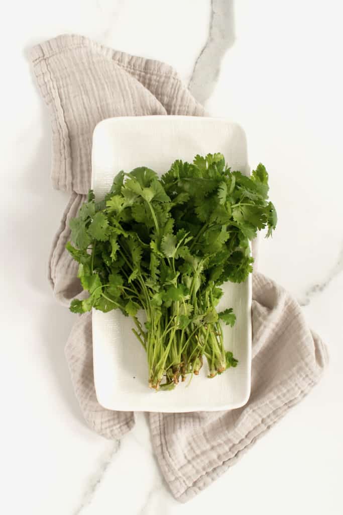 How to Wash Cilantro - The BakerMama
